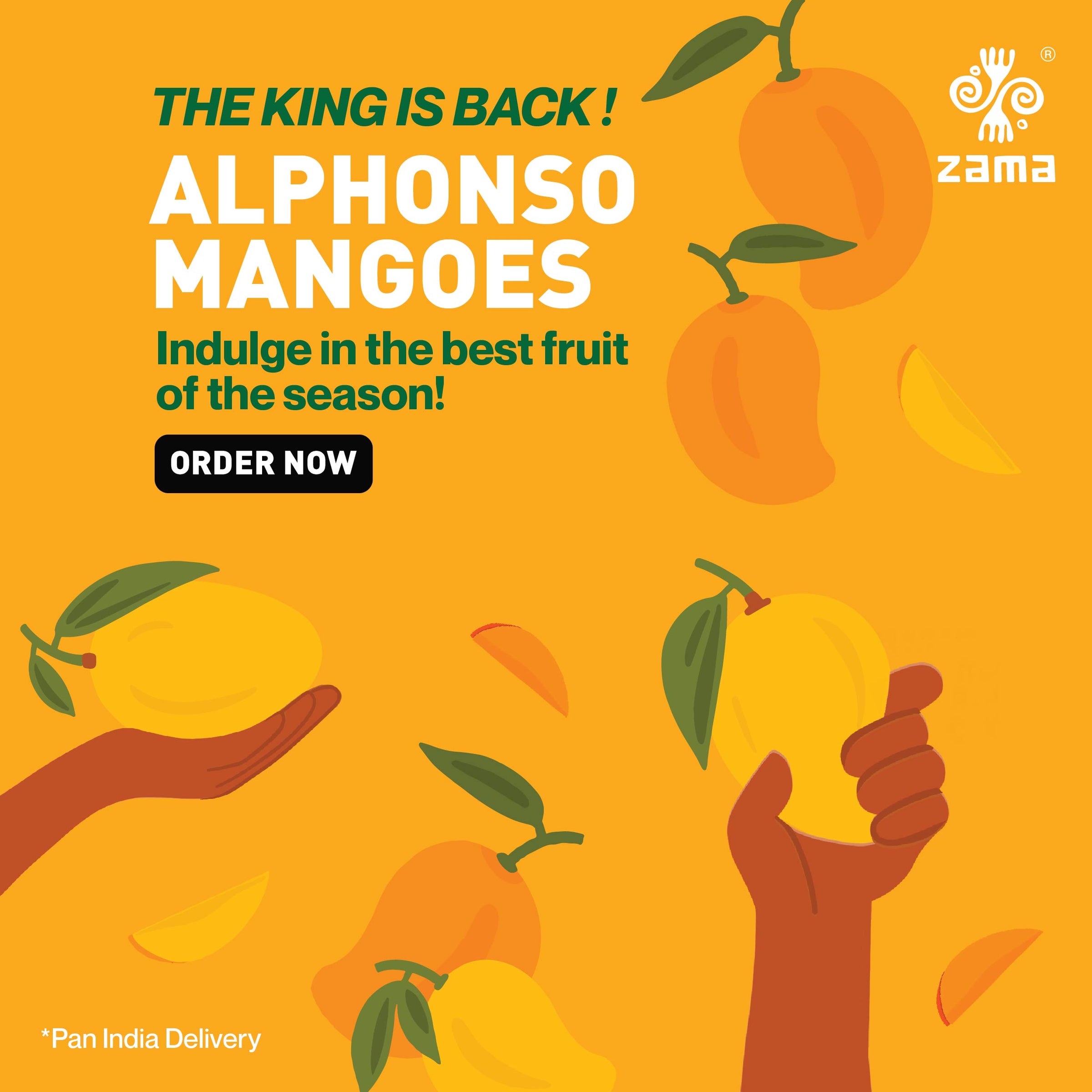 Zama Organics: Buy Organic Food Products Online | Mumbai