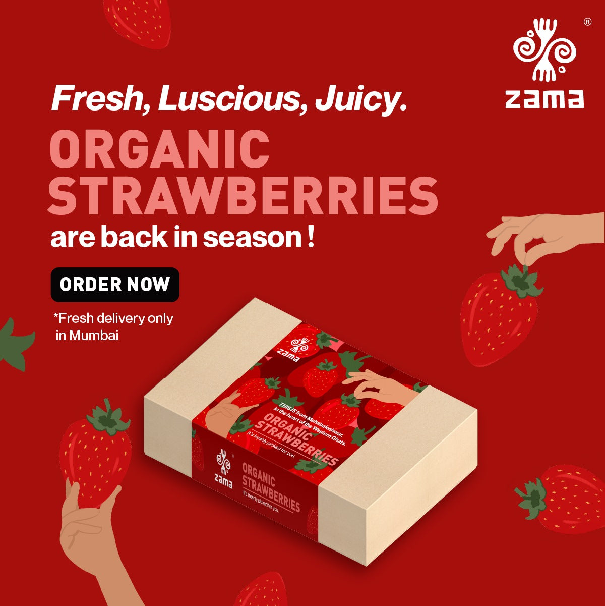 Zama Organics: Buy Organic Food Products Online | Mumbai