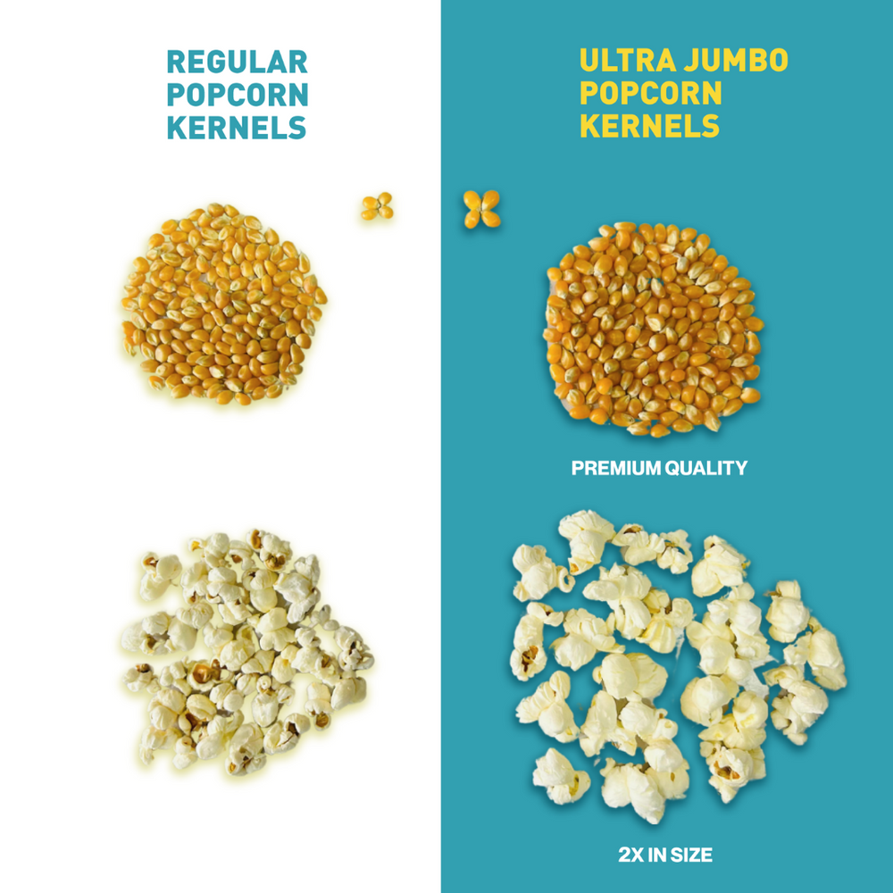 POP CORN KERNEL